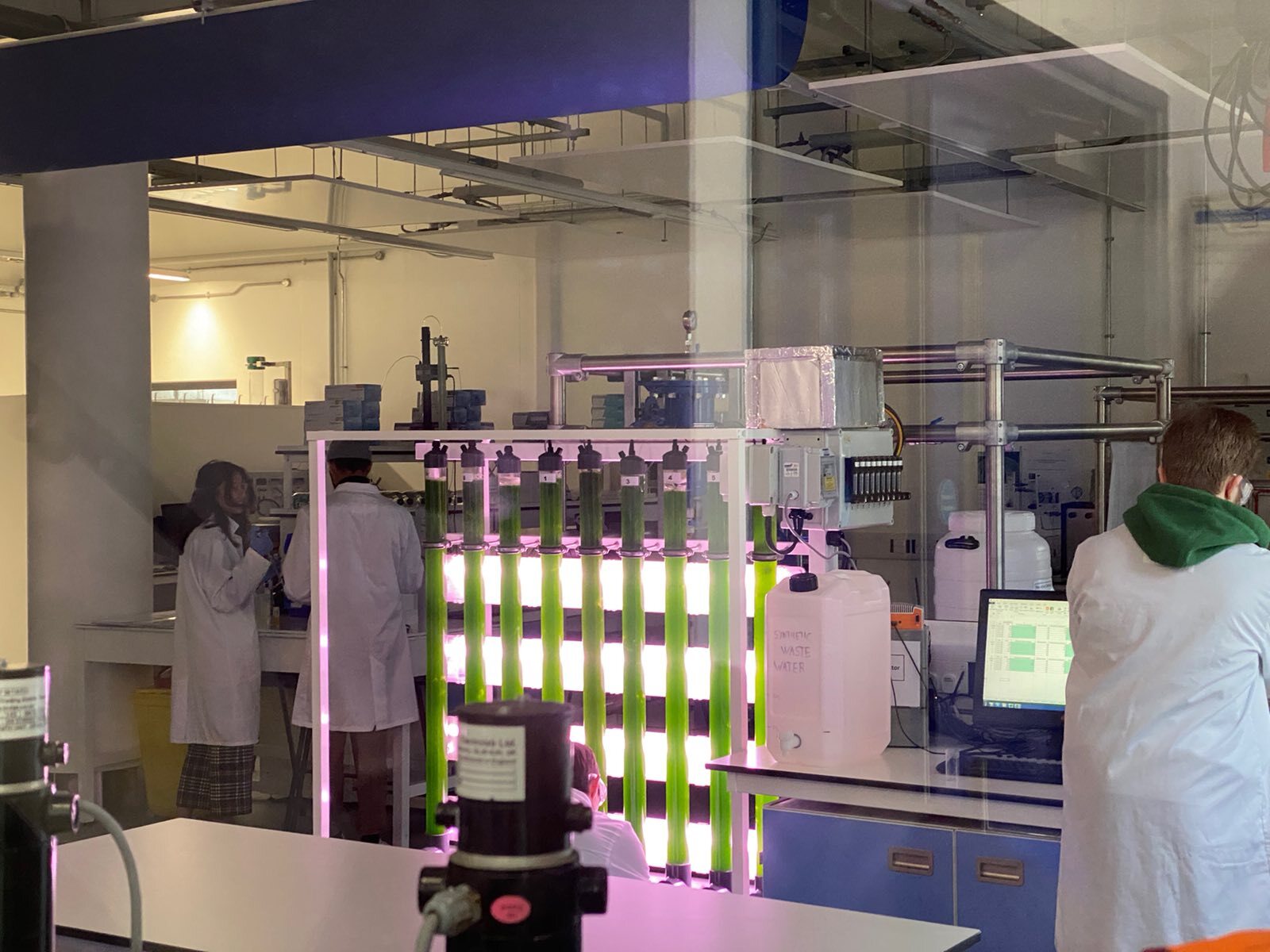 DIC Invests in US Sustainable Biotech Startup Back of the Yards Algae ...