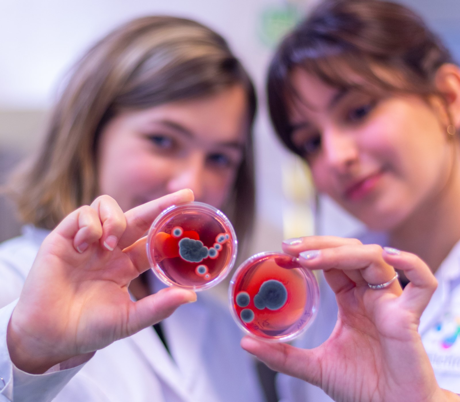 Michroma Closes $6.4 Million Seed Round to Bring Novel Food Coloring to ...